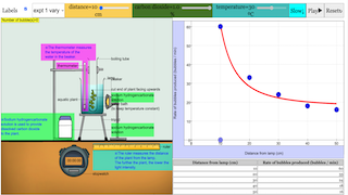 Secondary School Level on 3 Factors affecting Photosynthesis Lab with ...